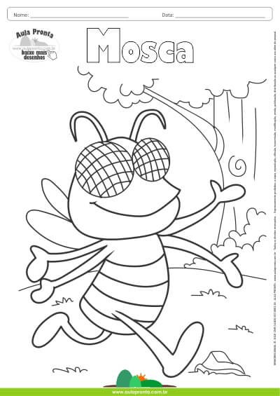 Desenhos para Colorir – Mosca - Aula Pronta